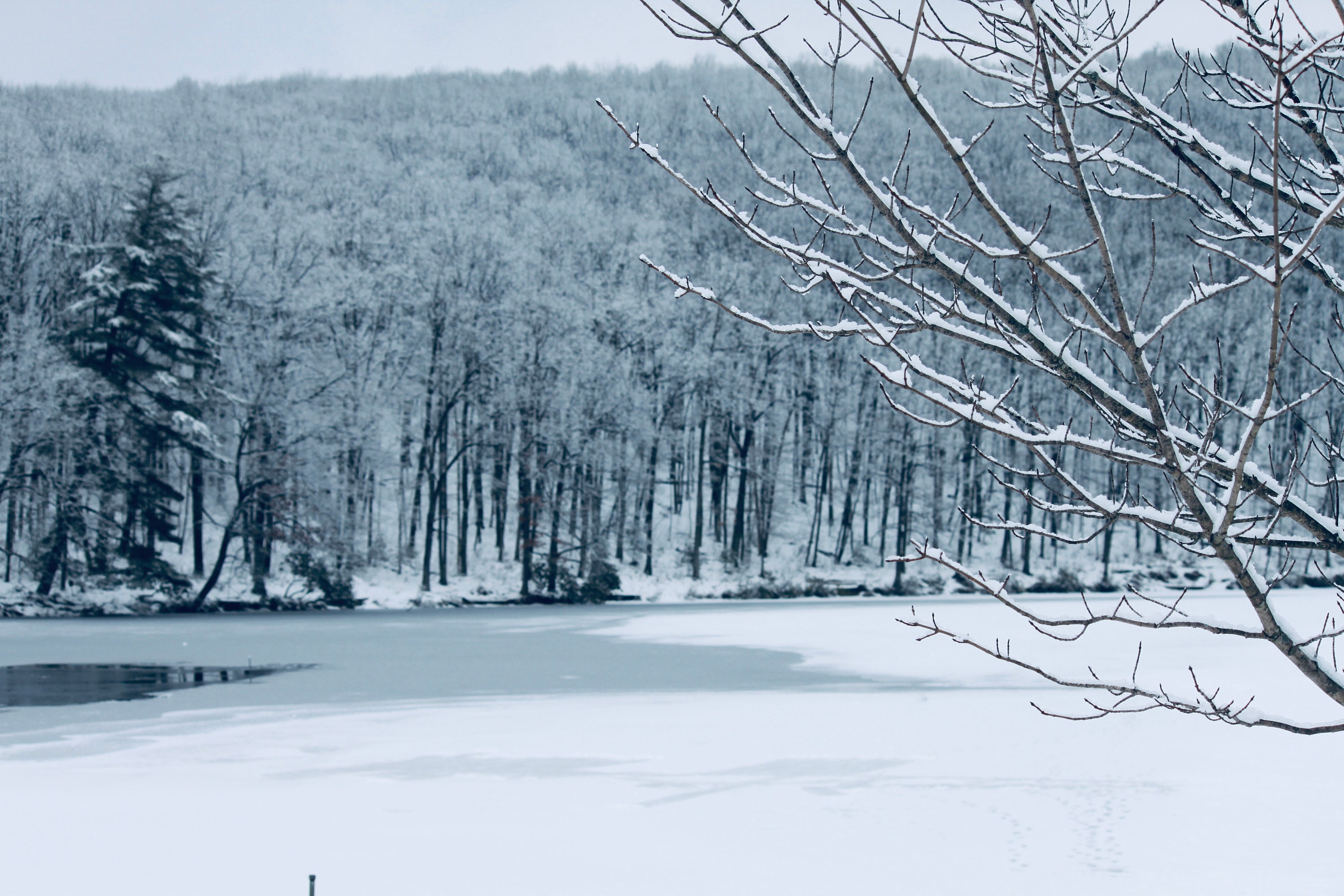 Winter Scene Prints - Etsy