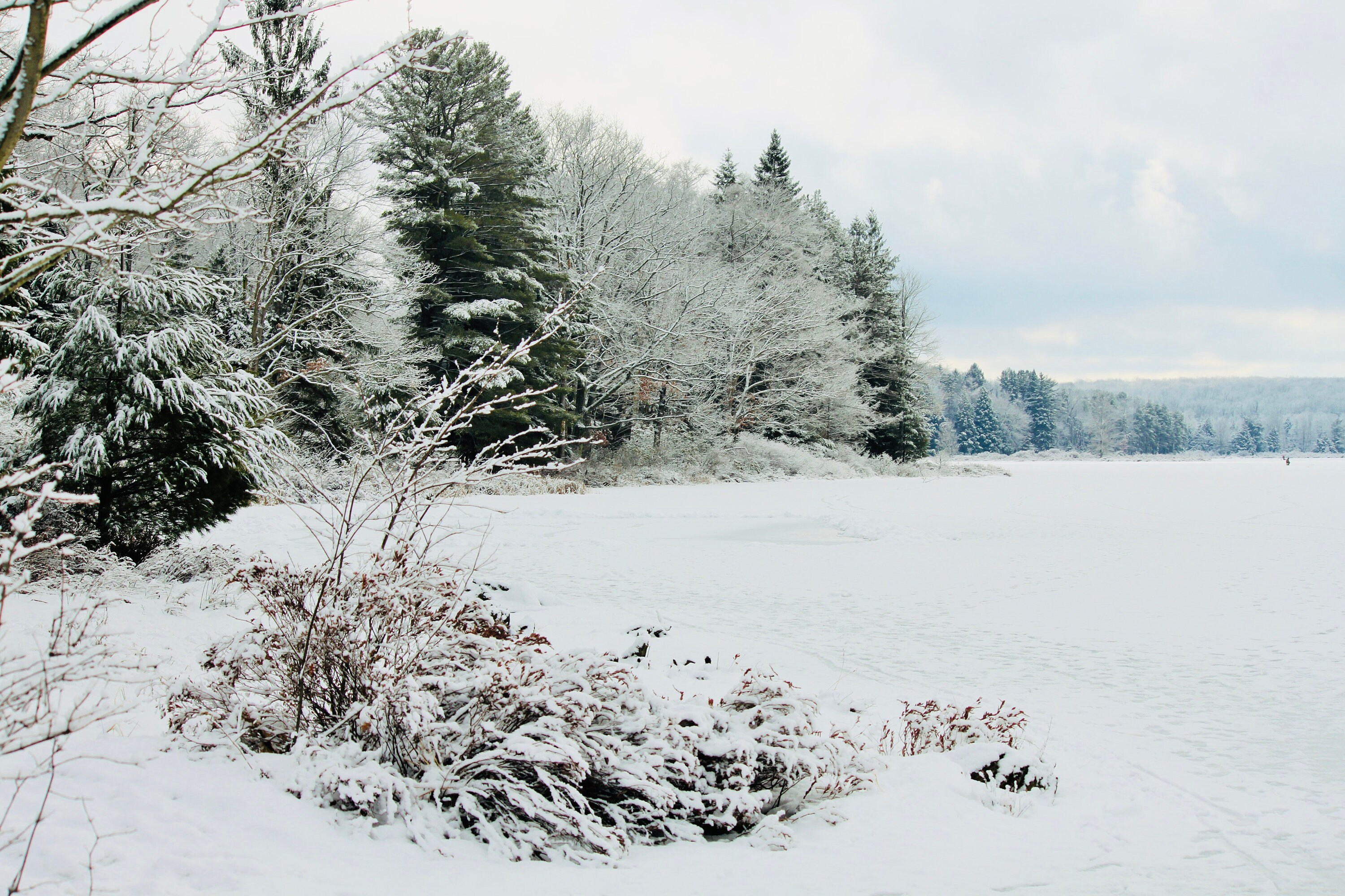 Winter Scene Prints - Etsy