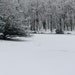 Winter Scene Prints - Etsy