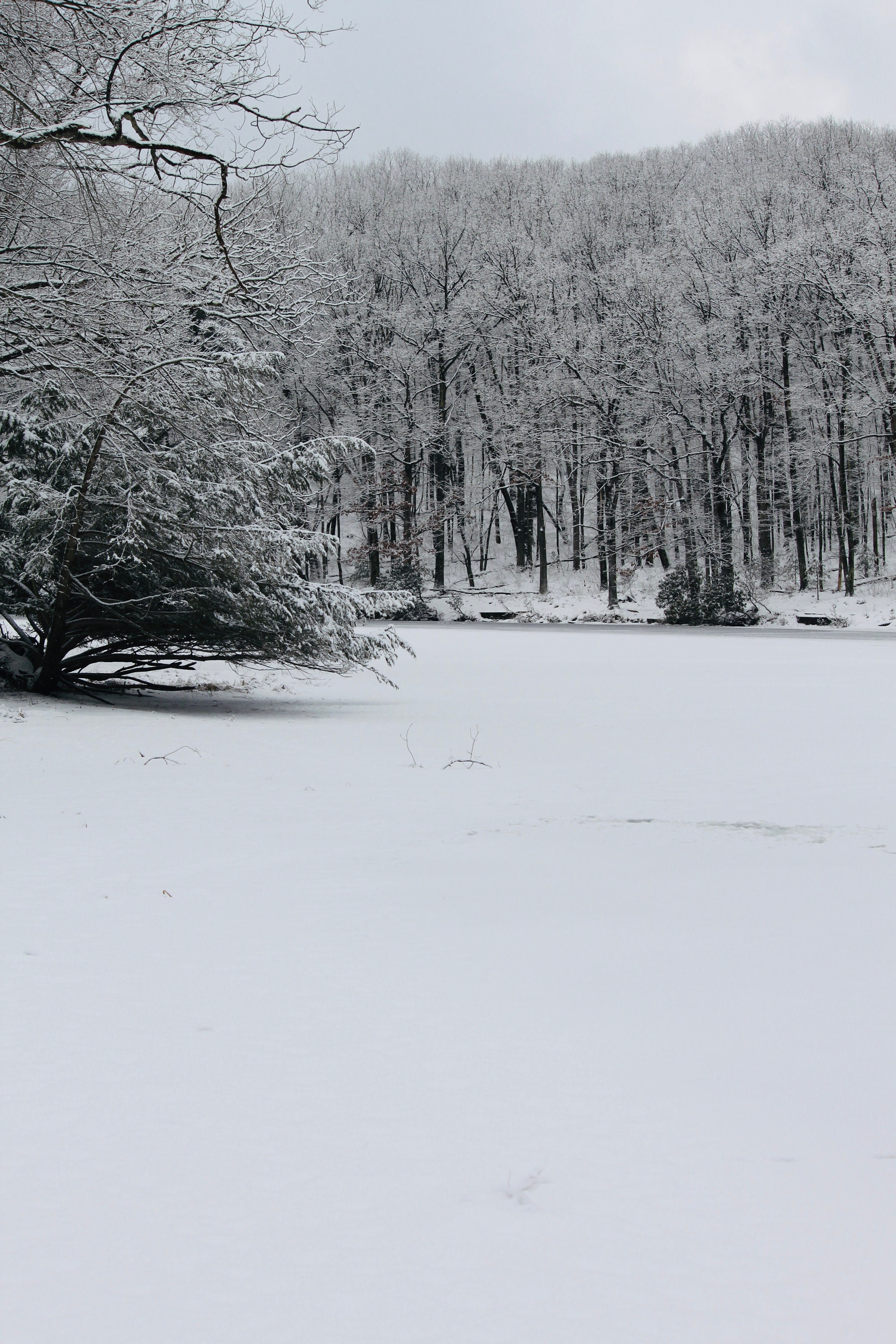 Winter Scene Prints - Etsy