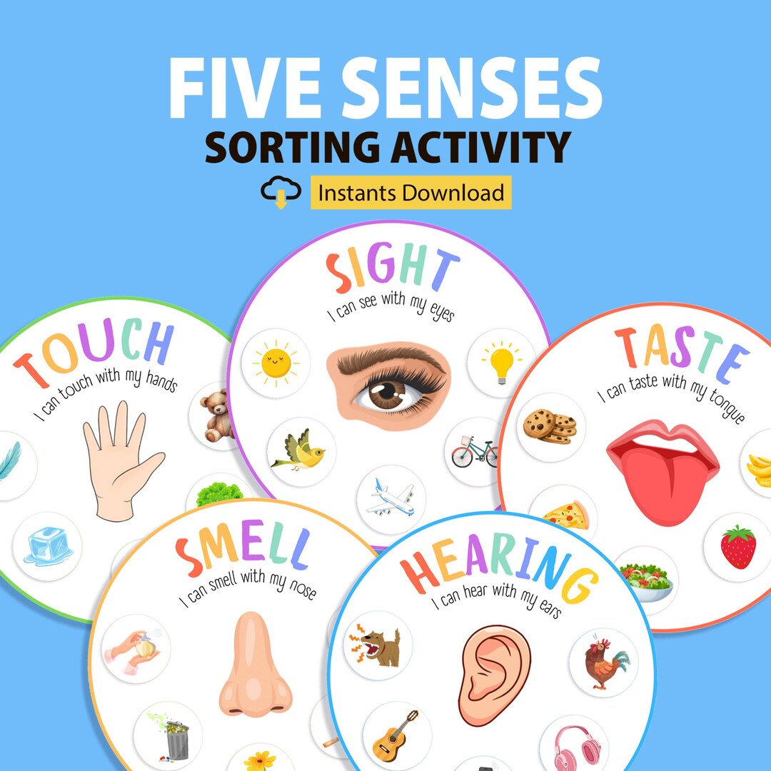 Five Senses Sorting Activity Printable: Preschool Learning Game (PDF ...