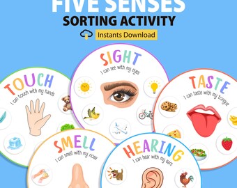 Preschool Learning Resources 5 Senses Clip Cards, Five Senses Sorting ...
