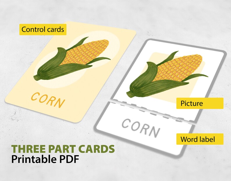 48 Fruit and Vegetable Flashcards Printable Practice Matching - Etsy
