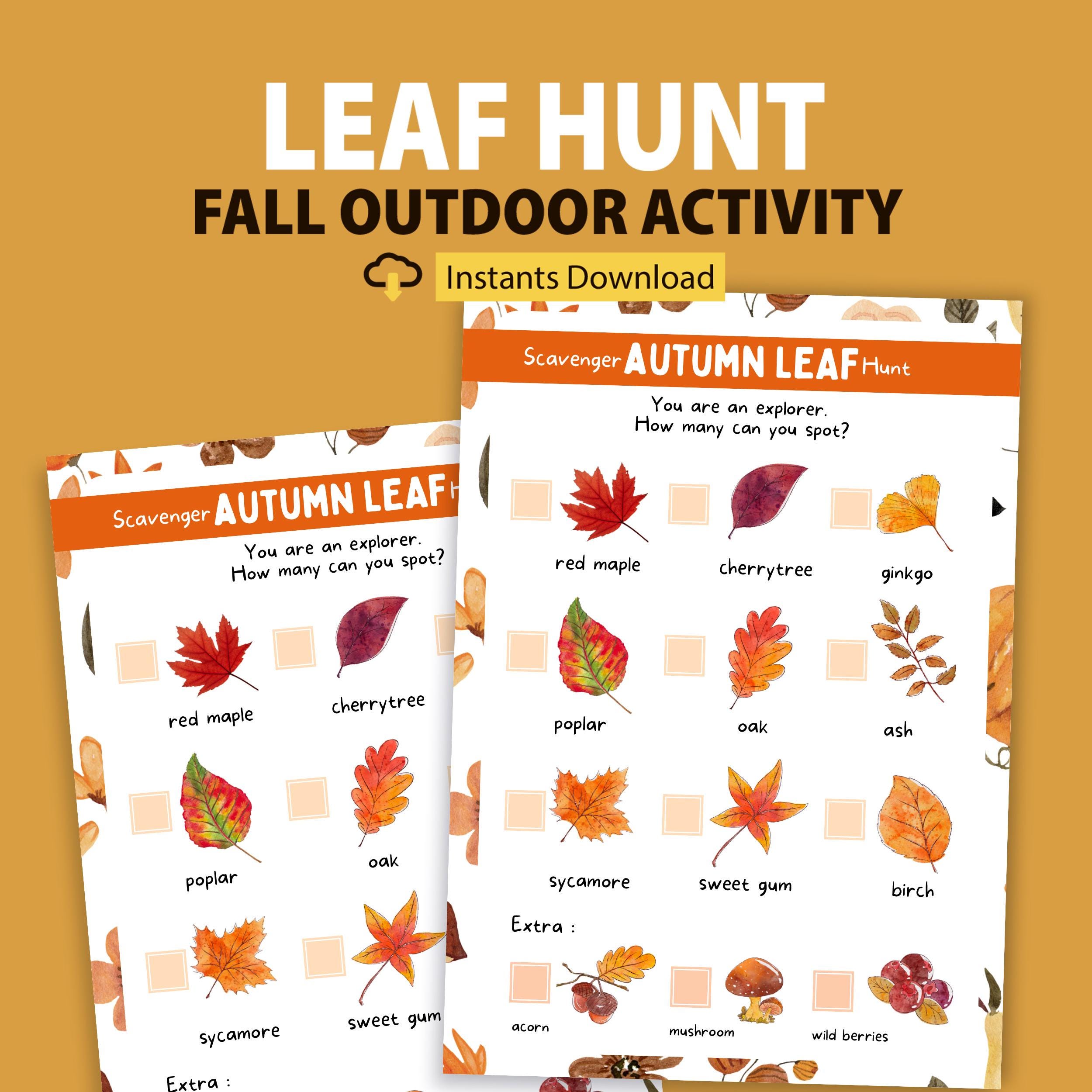 Fall Scavenger Hunt for Kids, Autumn Leaf Hunt Activity, Autumn Leaf ...