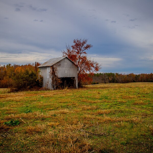 Rustic Fall Decor - Etsy