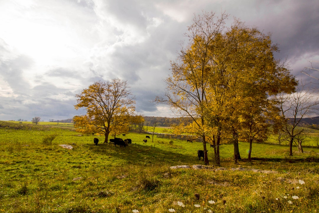 Rustic Fall Decor | Fall Decorations | Fall Farmhouse Photography ...