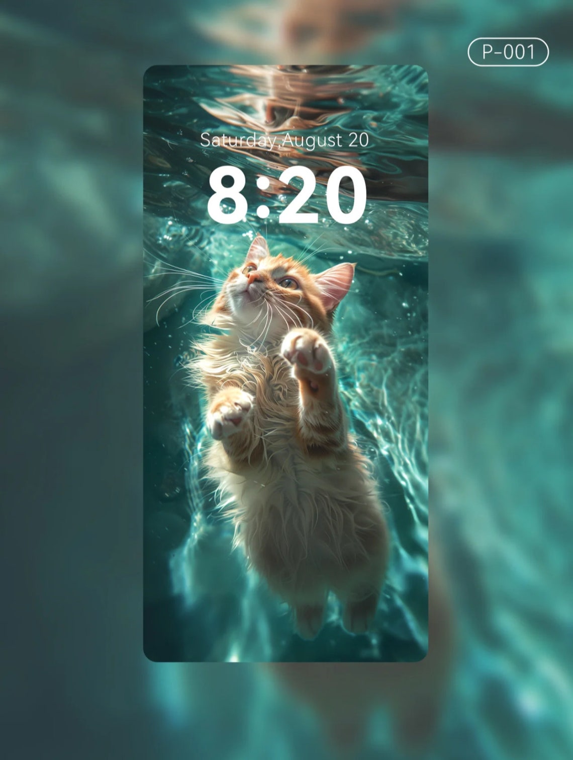 Cat Swim Wallpaper | iPhone Wallpaper | Creative Wallpaper | Digital ...