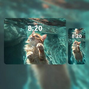 Cat Swim Wallpaper | iPhone Wallpaper | Creative Wallpaper | Digital ...
