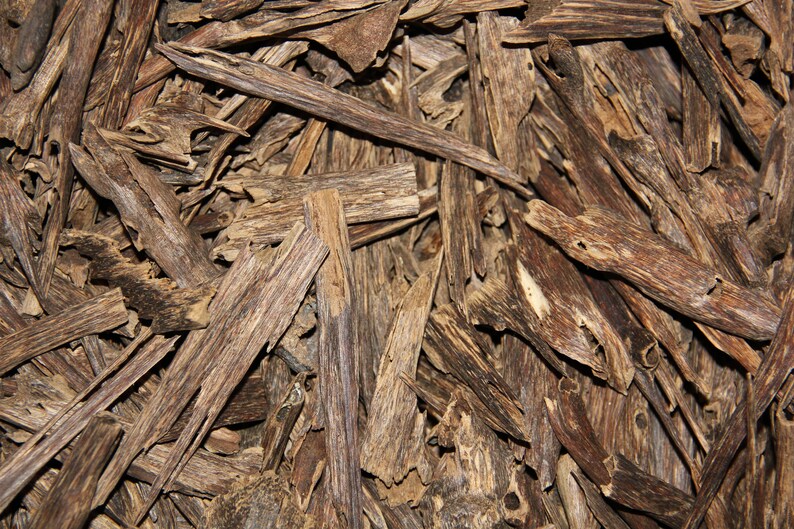 Premium Natural Oud Wood / Agarwood - Etsy Canada
