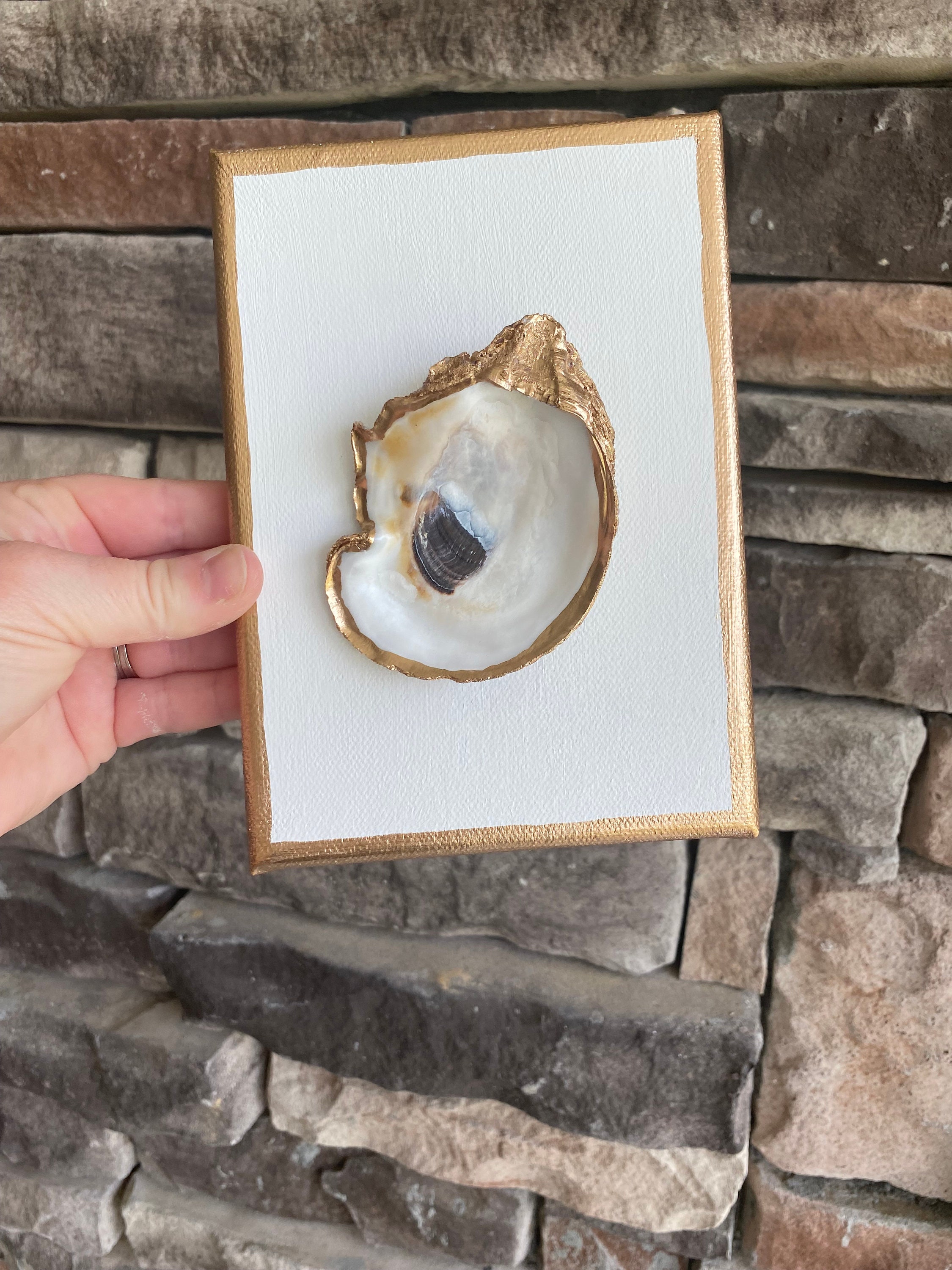5 X 7 Oyster Wall Art, Oyster Art Wall Hangings, Coastal Wall Art ...