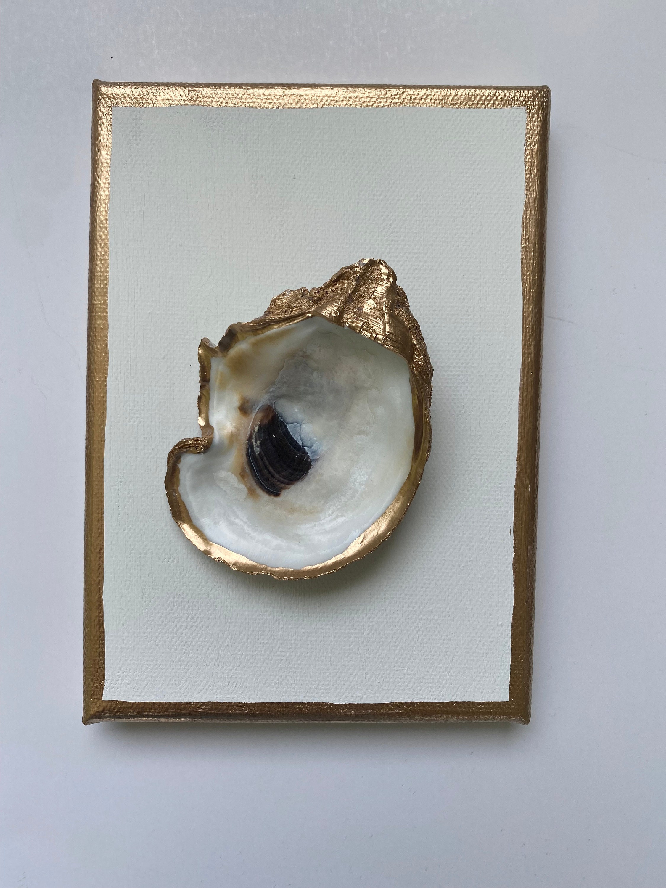 Oyster Shells on Canvas, 5 X 7 Oyster Shell Canvas Wall Art , Coastal ...
