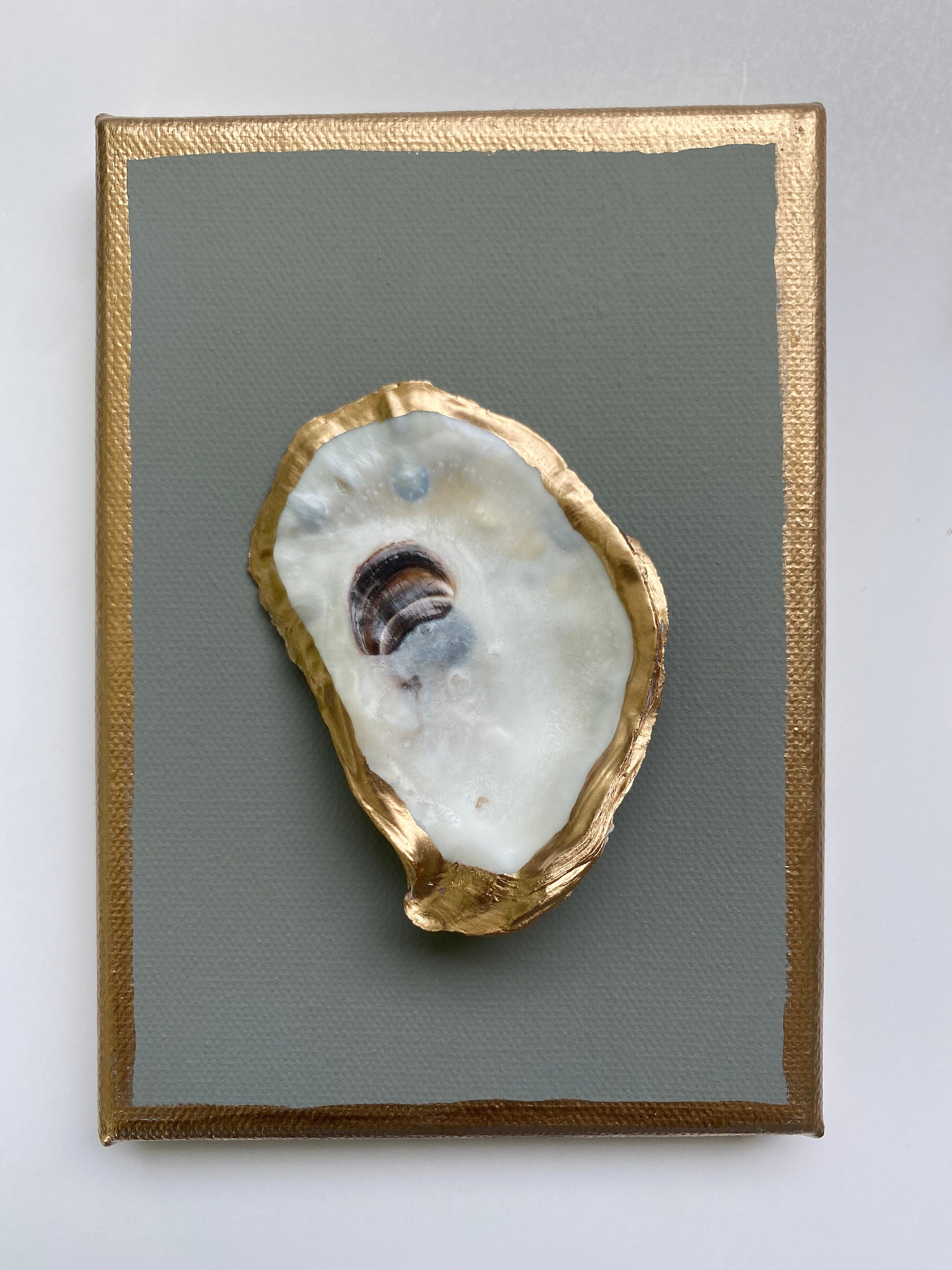 Oyster Shells on Canvas, 5 X 7 Oyster Shell Canvas Wall Art , Coastal ...