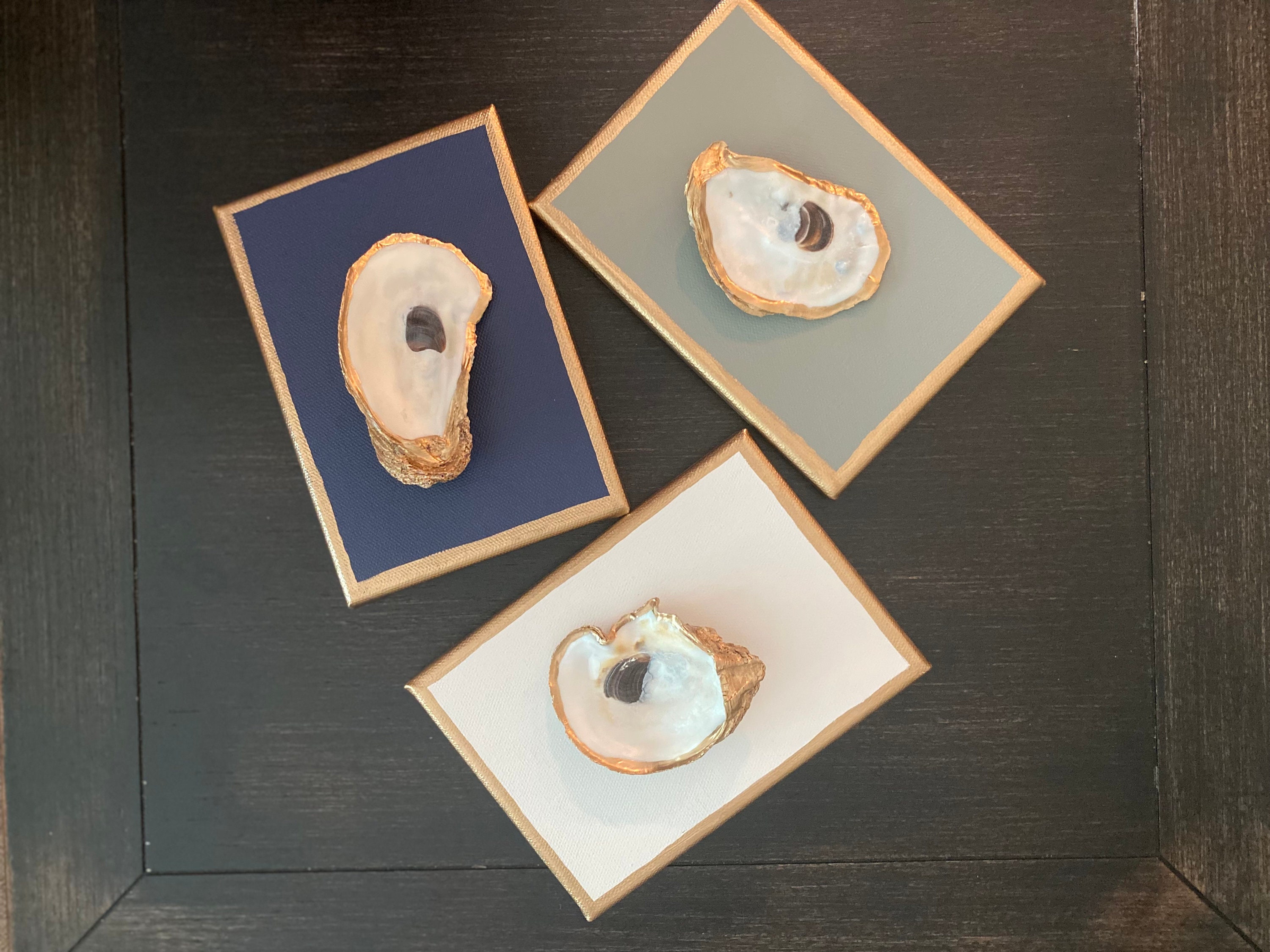 Oyster Shells on Canvas, 5 X 7 Oyster Shell Canvas Wall Art , Coastal ...