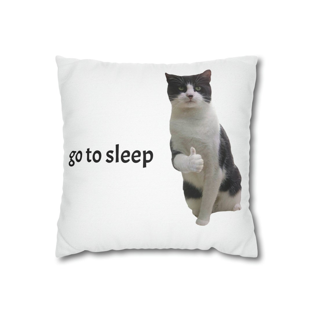 Cat Meme Pillow - Etsy