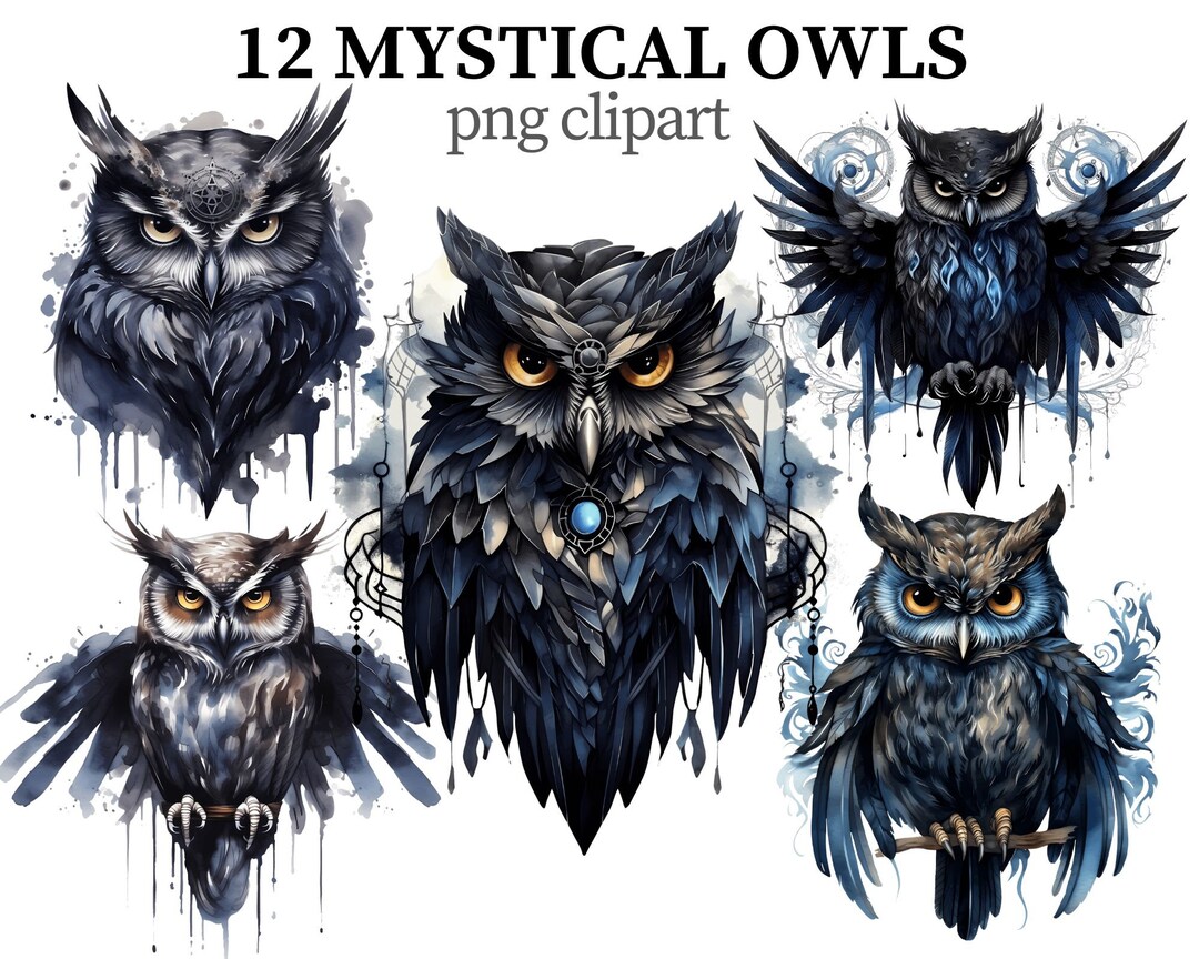 Mystical Owls Clipart Gothic PNG Fantasy Owl Wizard Magic Clipart Bird ...