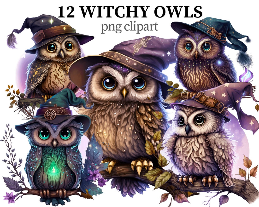 Witchy Owls Clipart Magical PNG Fantasy Owl Wizard Png Mystical Birds ...