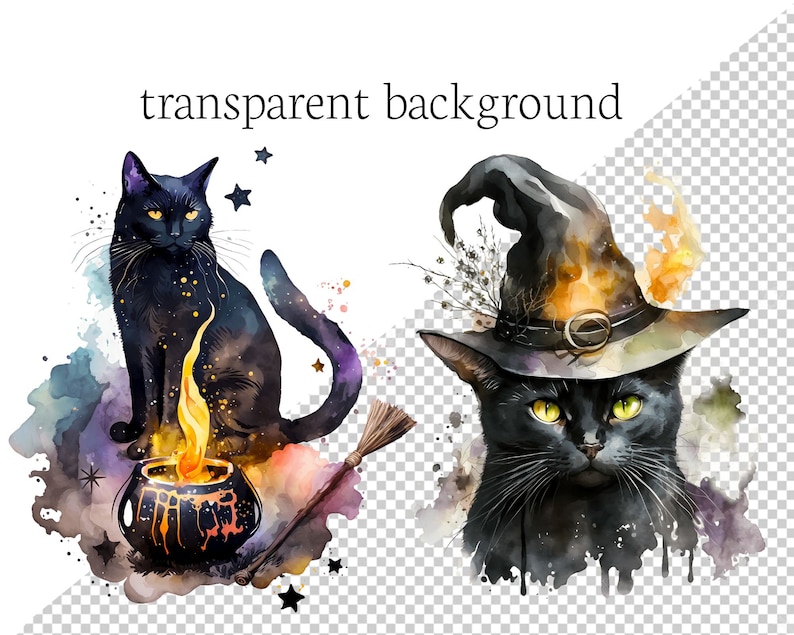 Witch Cats PACK Clipart PNG Halloween Clipart Images Witch Art ...
