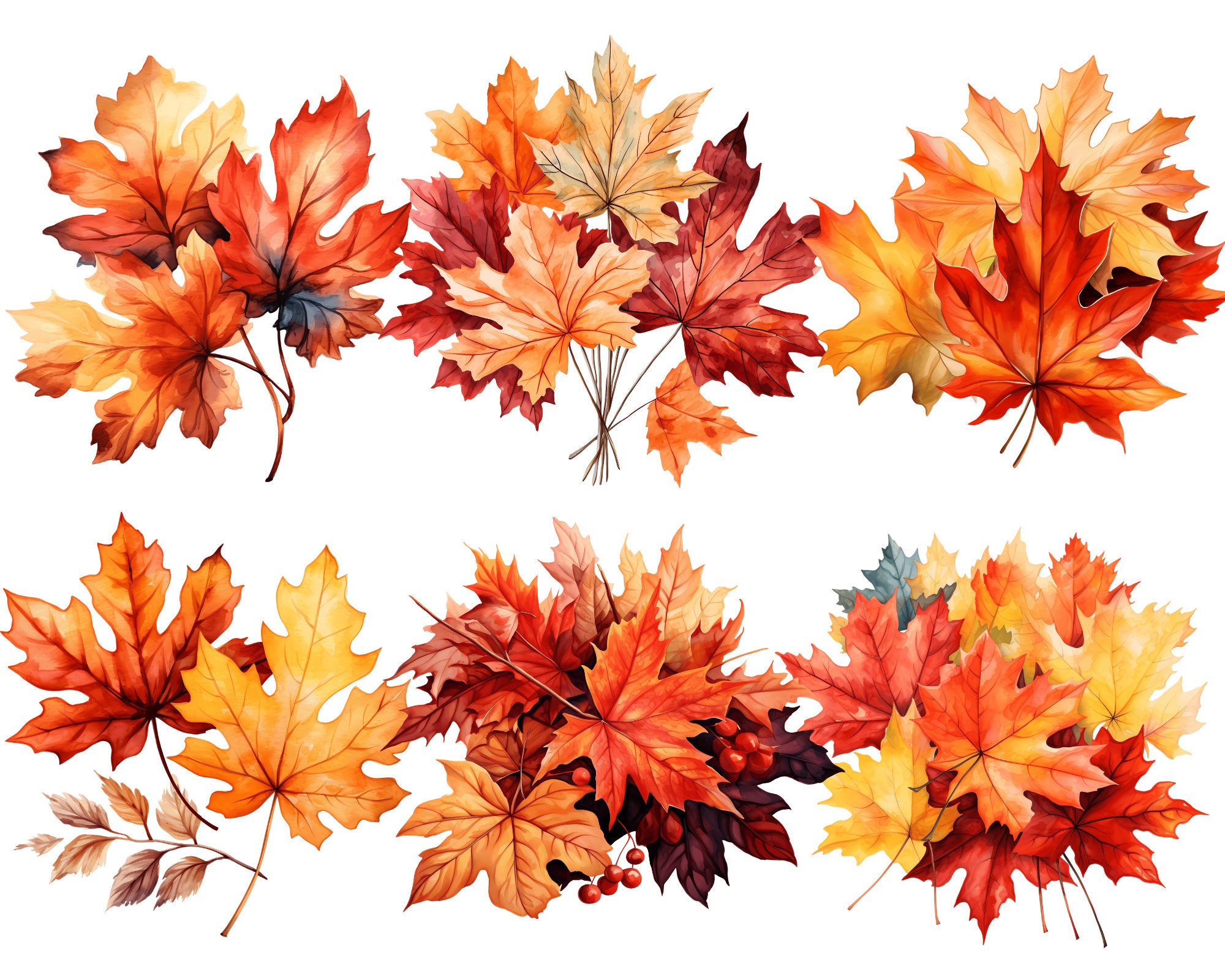 Autumn Leaves Clipart Fall PNG Maple Leaves Watercolor Png Leaves and ...