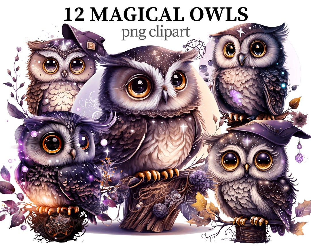 Magical Owls Clipart Fantasy PNG Baby Owl Cute Birds Magic Clipart ...