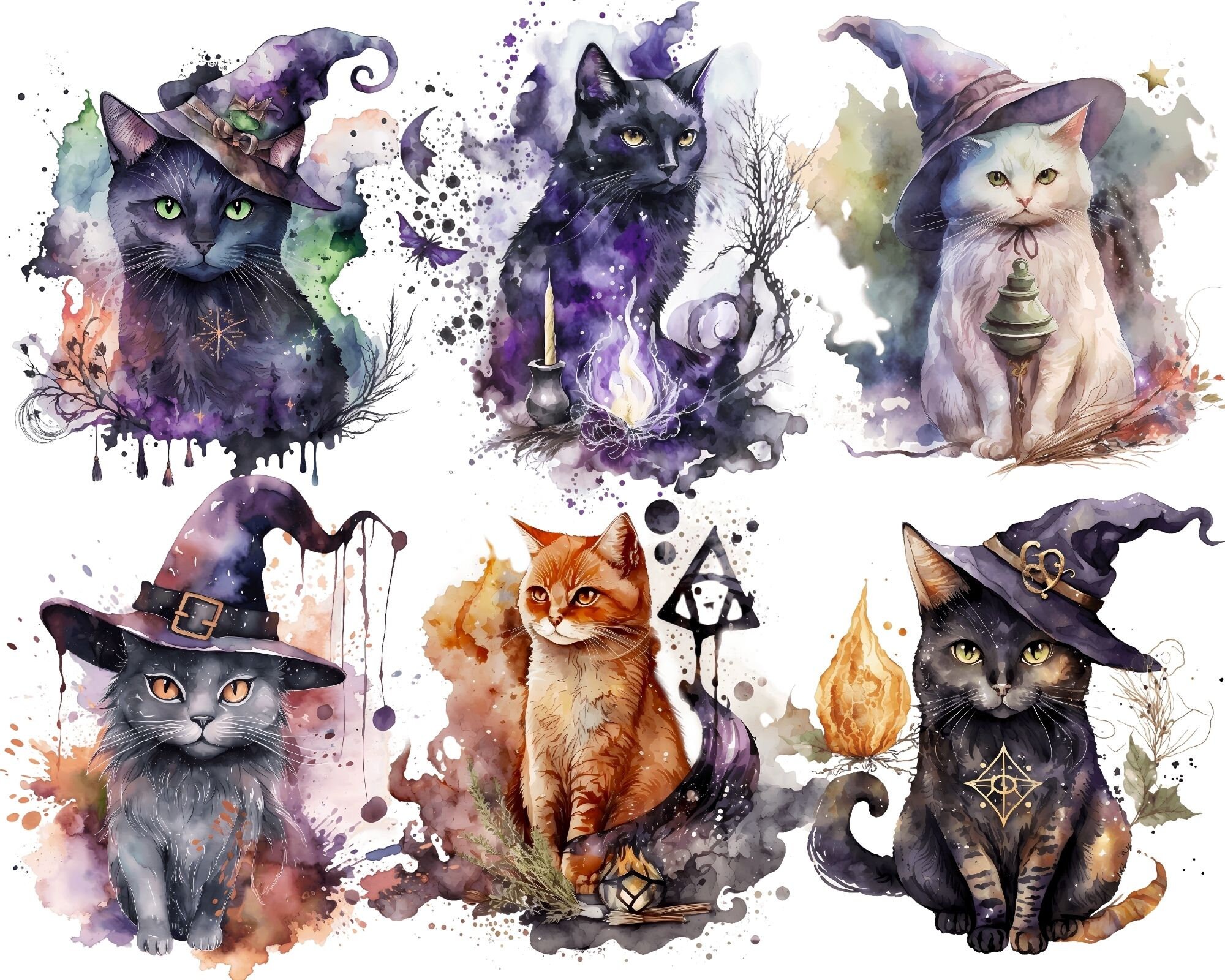 Witch Cats PACK Clipart PNG Halloween Clipart Images Witch Art ...