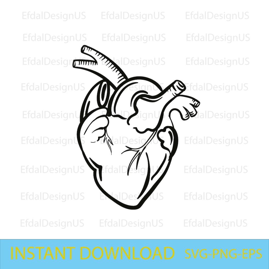 Heart Svg,human Heart Svg,human Svg, Medical School, Real Human, SVG ...