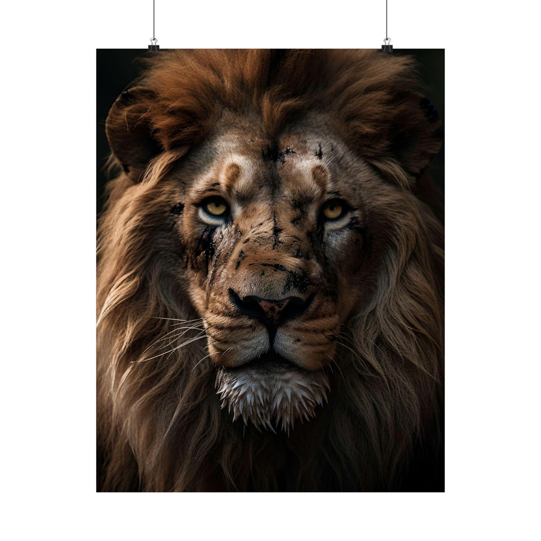 Lions Resilient Scar Poster Prints Wall Art HD Photography Room Artwork ...