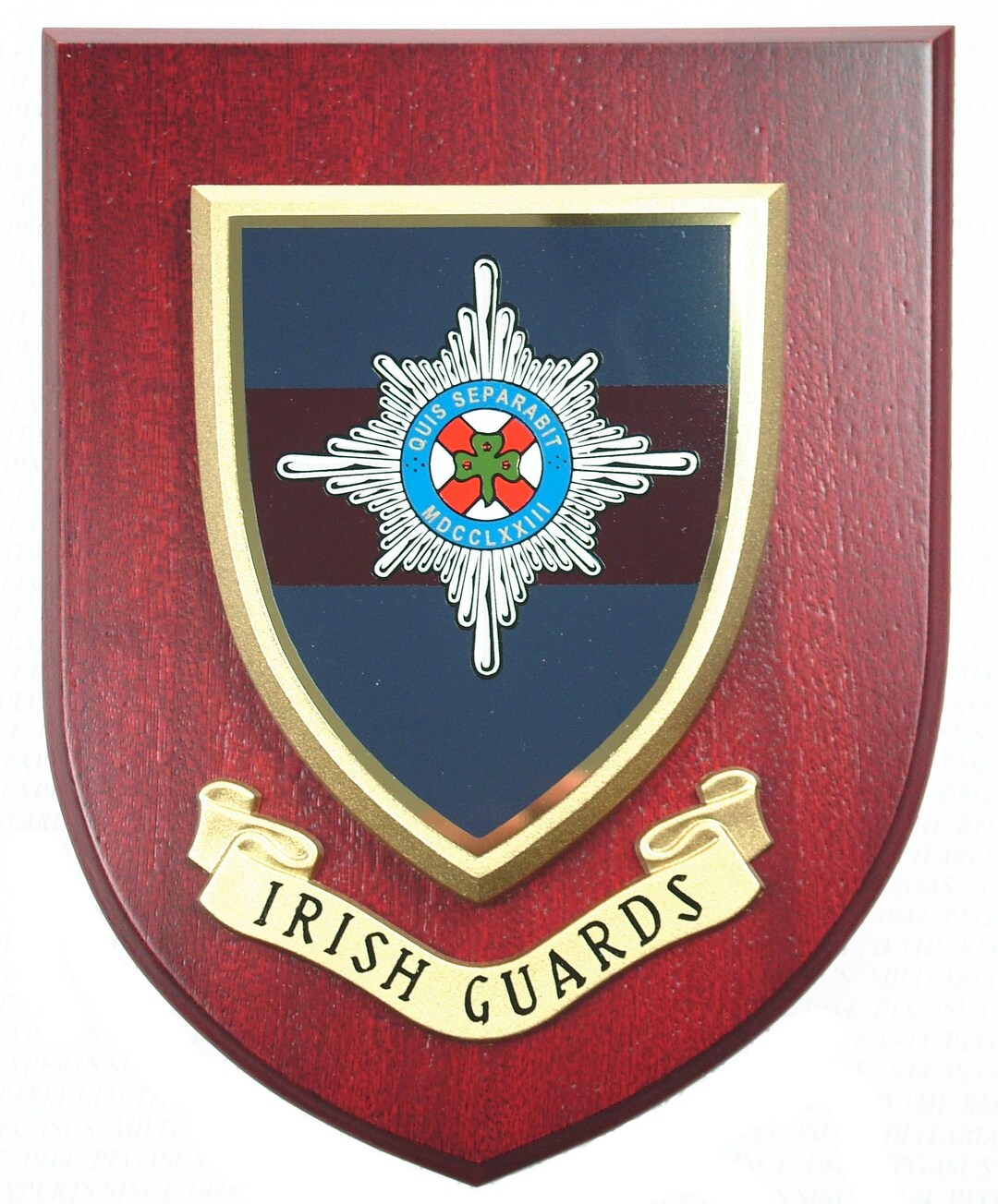 The Irish Guards Deluxe Made in the UK Regimental Veterans Wall Plaque ...