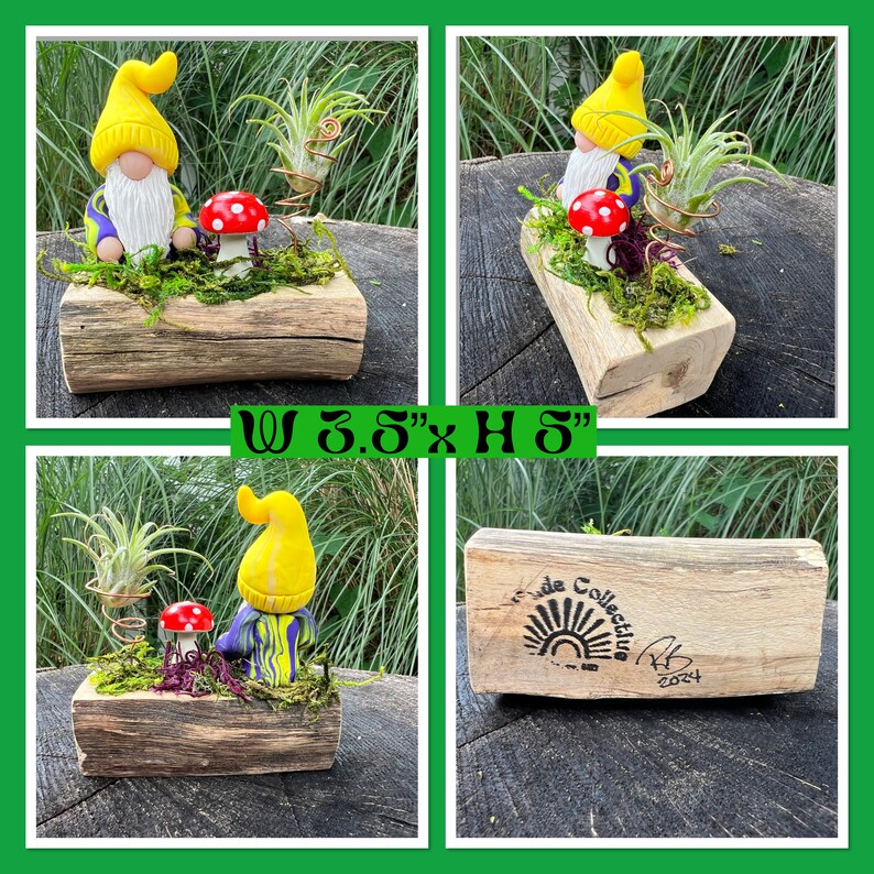 Gnome Sculpture Air Plant Display - Etsy