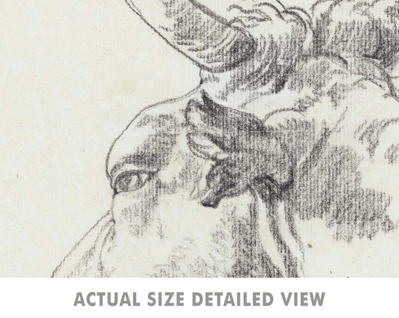 Bull Head Drawing Side