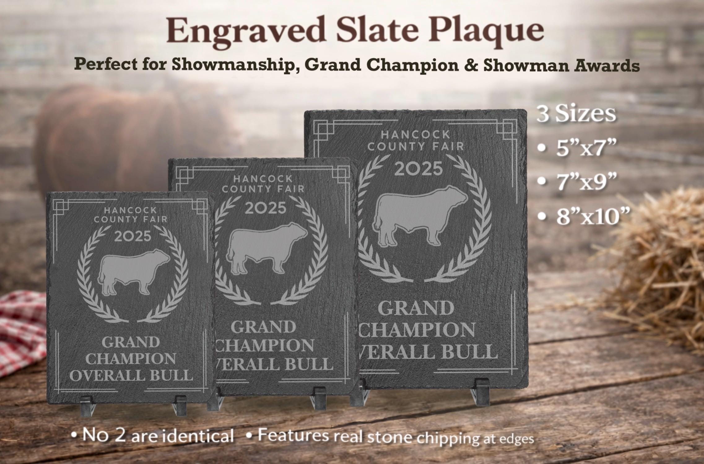 Bull Show Award | Engraved Slate Award | Livestock Show & Showmanship ...
