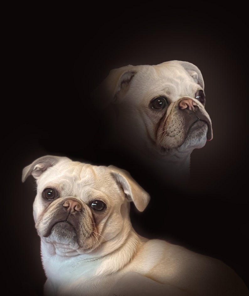 Personalized 80's Double Exposure Digital Pet Portrait - Etsy