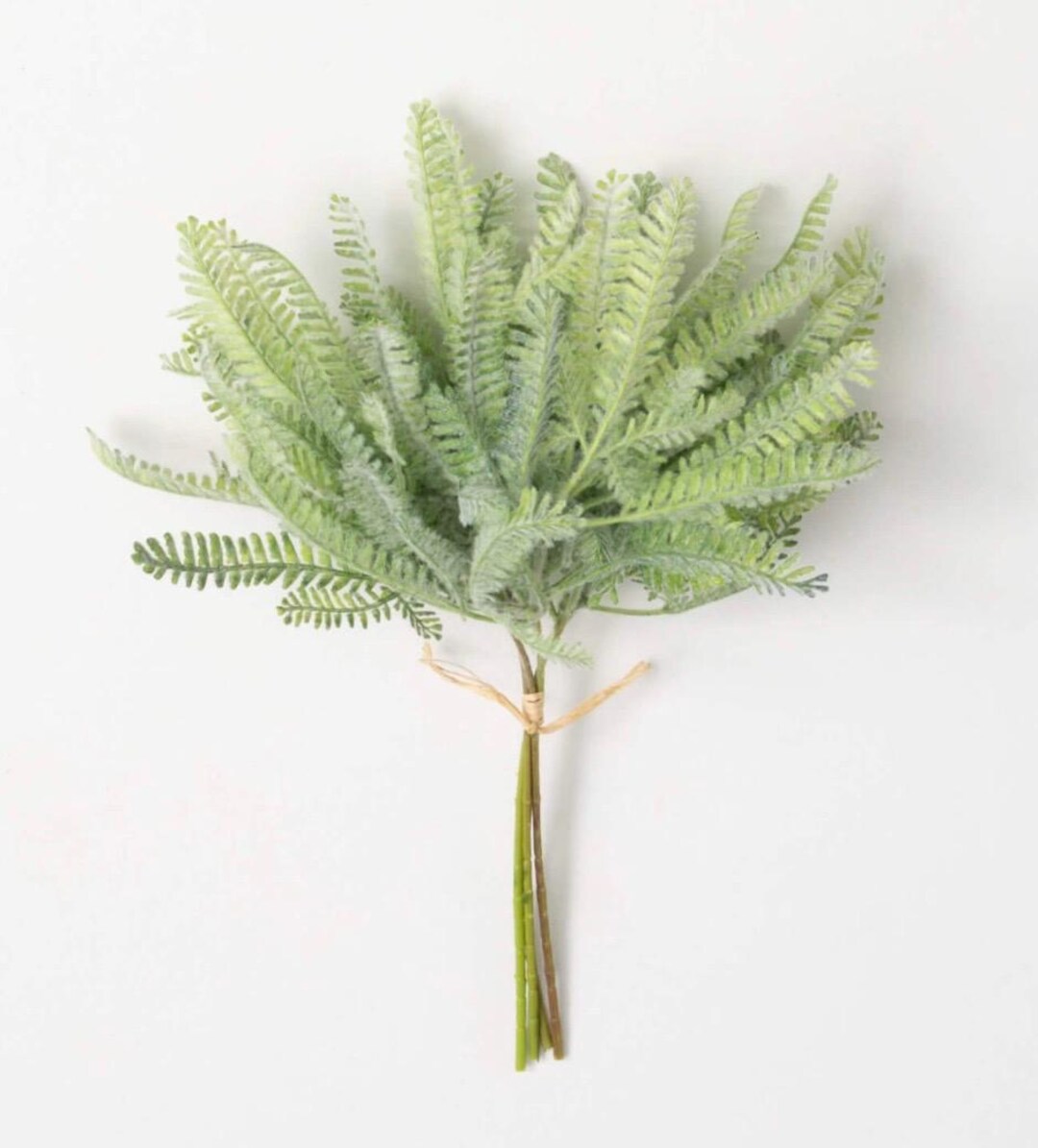 Artificial Mini Fern Bundle, Flocked Faux Fern, Dusty Fern in Mint ...