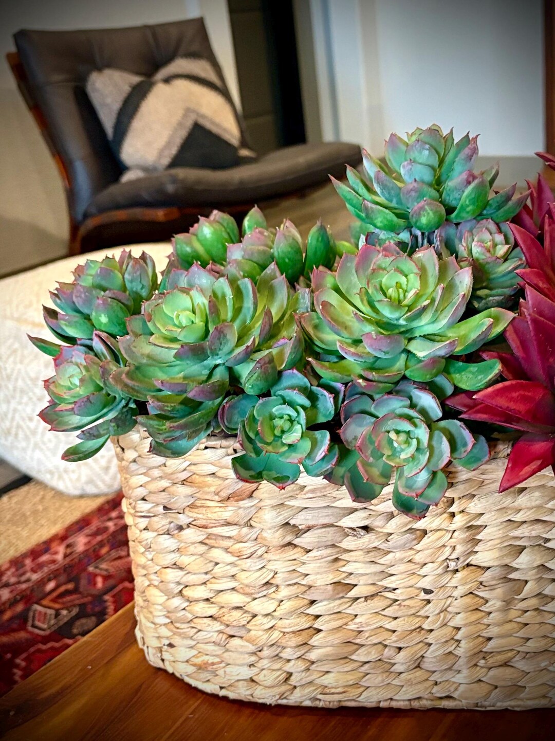 Artificial Echeveria Succulent Spray: Sage Purple Rosettes, 12" - Etsy