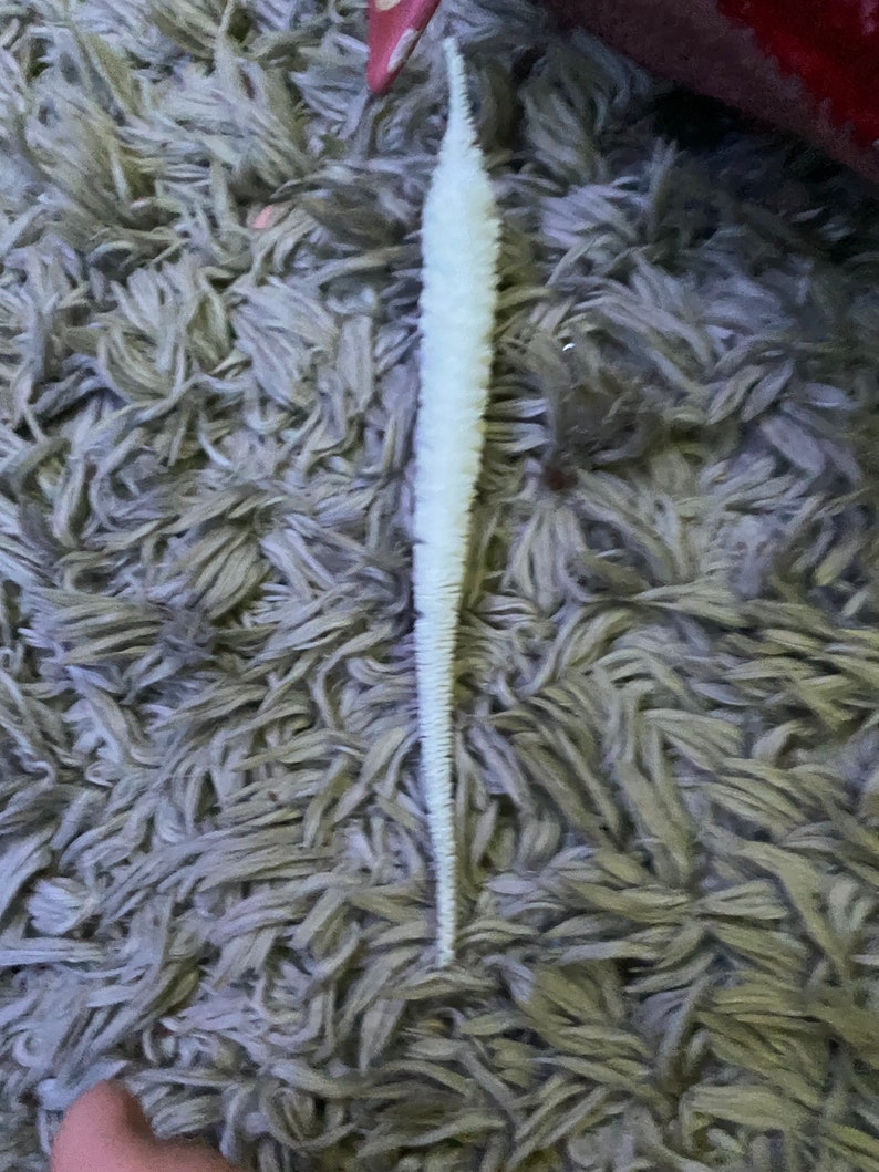 Mushroom Dino Mask - Etsy