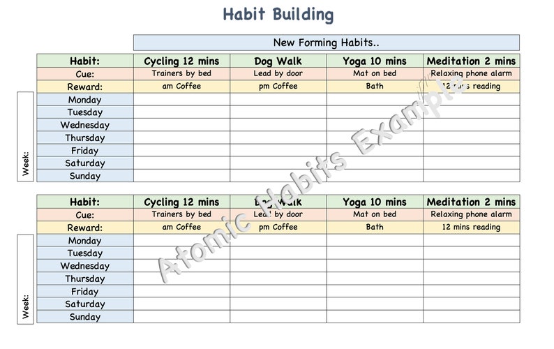 Atomic Habits Sheet, Habit Recording Planner, Habits Diary Plan ...