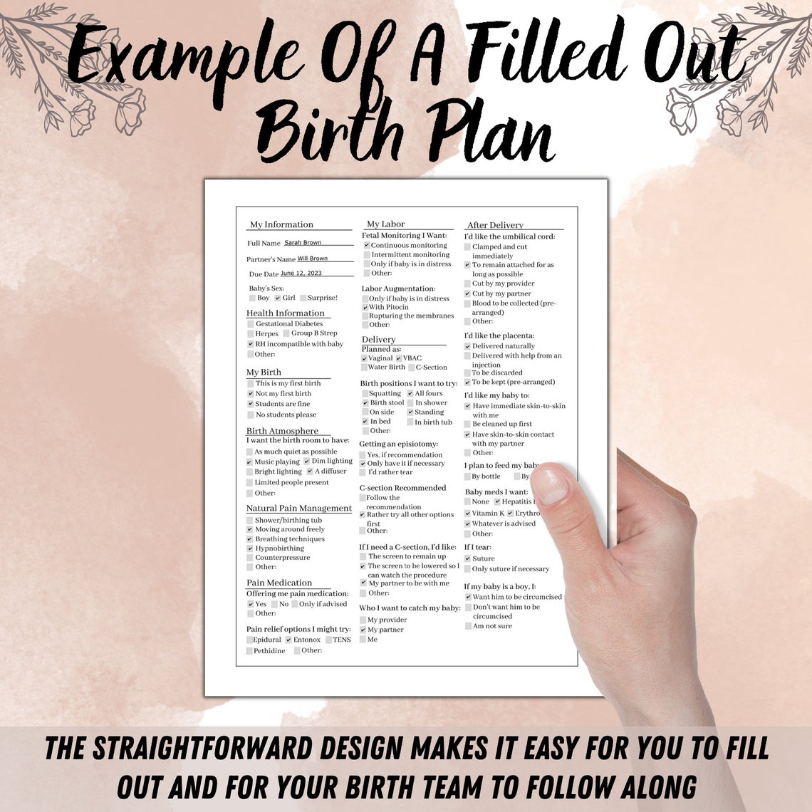 Birth Plan Template Editable Minimalist, Natural Birth Plan, Hospital ...
