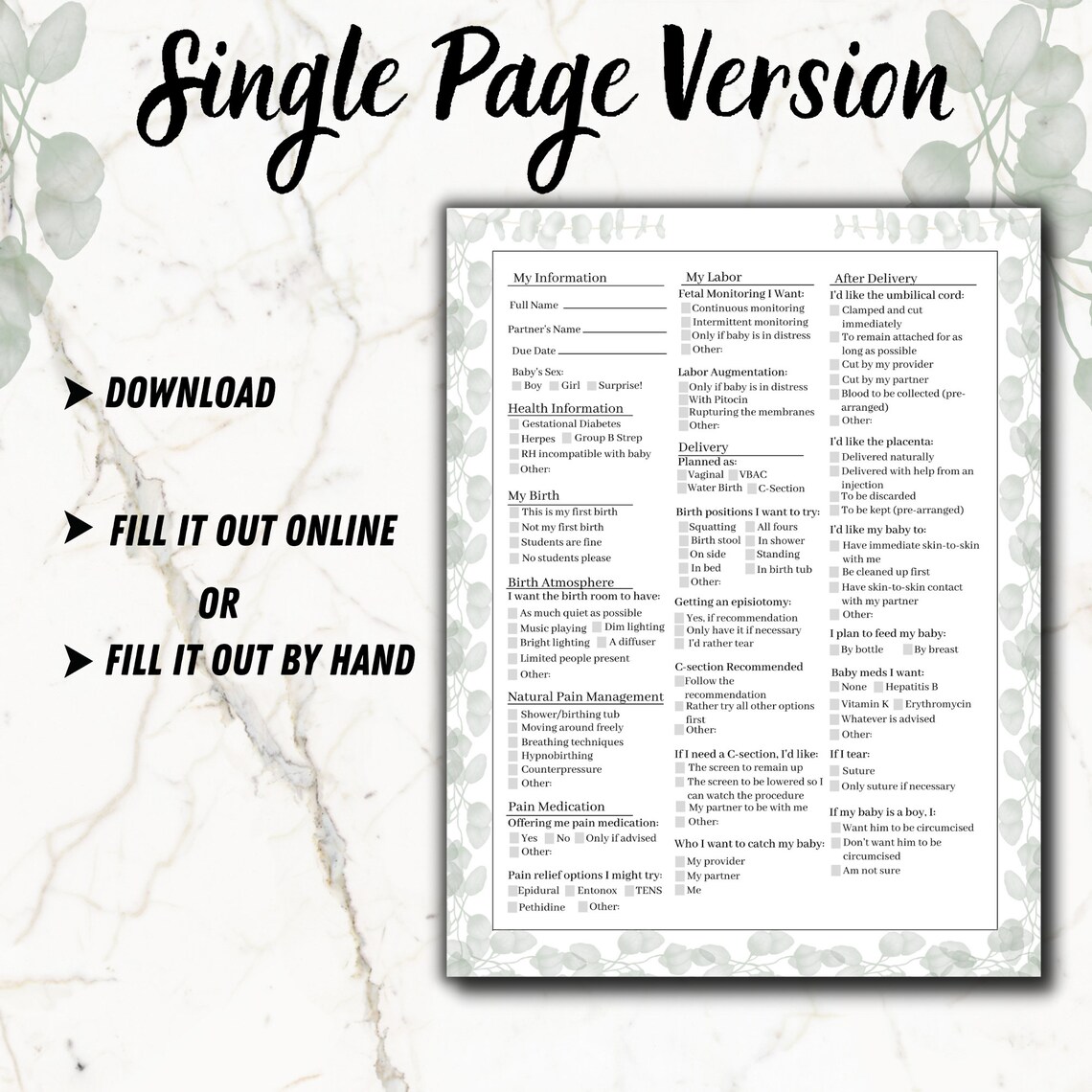 Birth Plan Template Printable Eucalyptus, Natural Birth Plan, Hospital ...