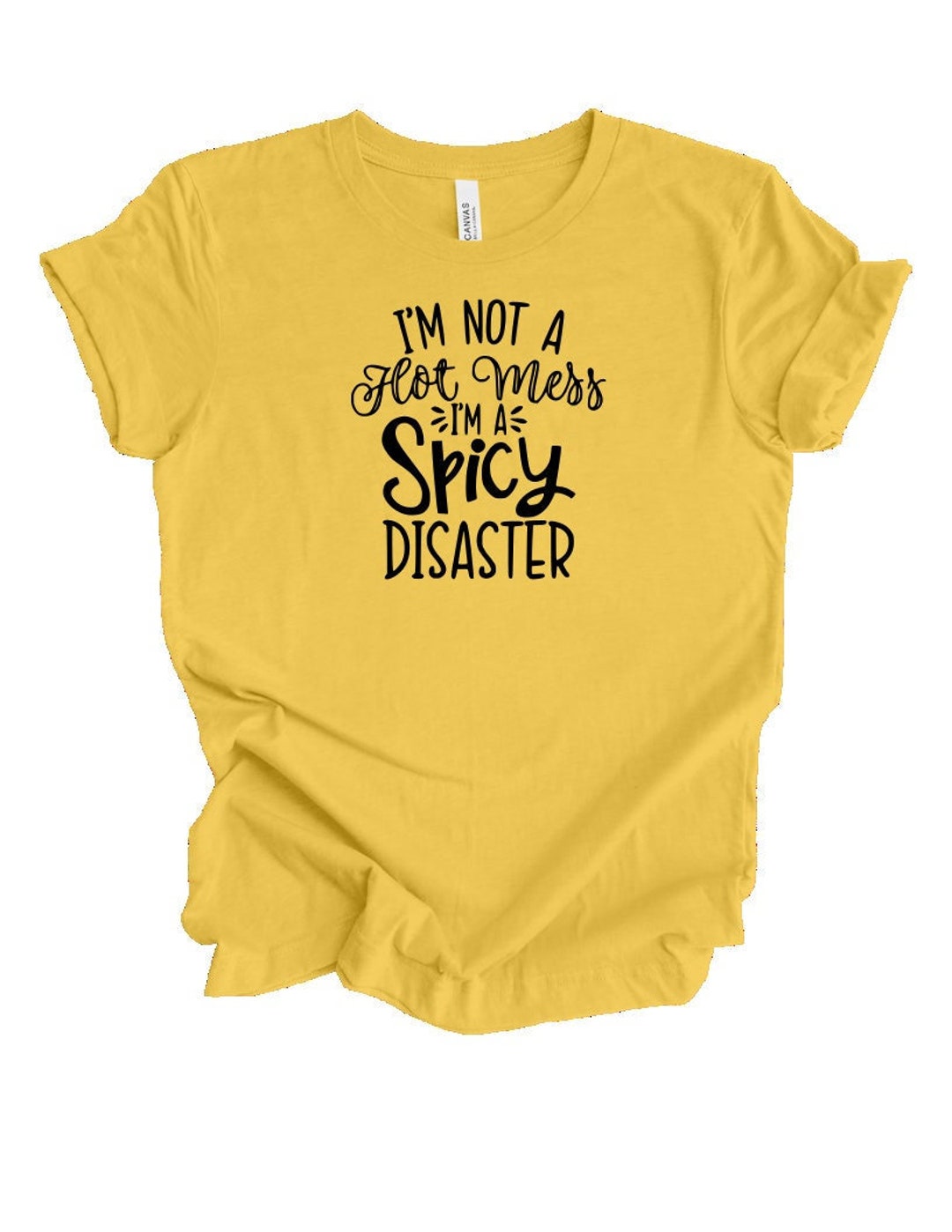 I'm Not a Hot Mess, I'm a Spicy Disaster T Shirt, Sarcastic Tshirt ...