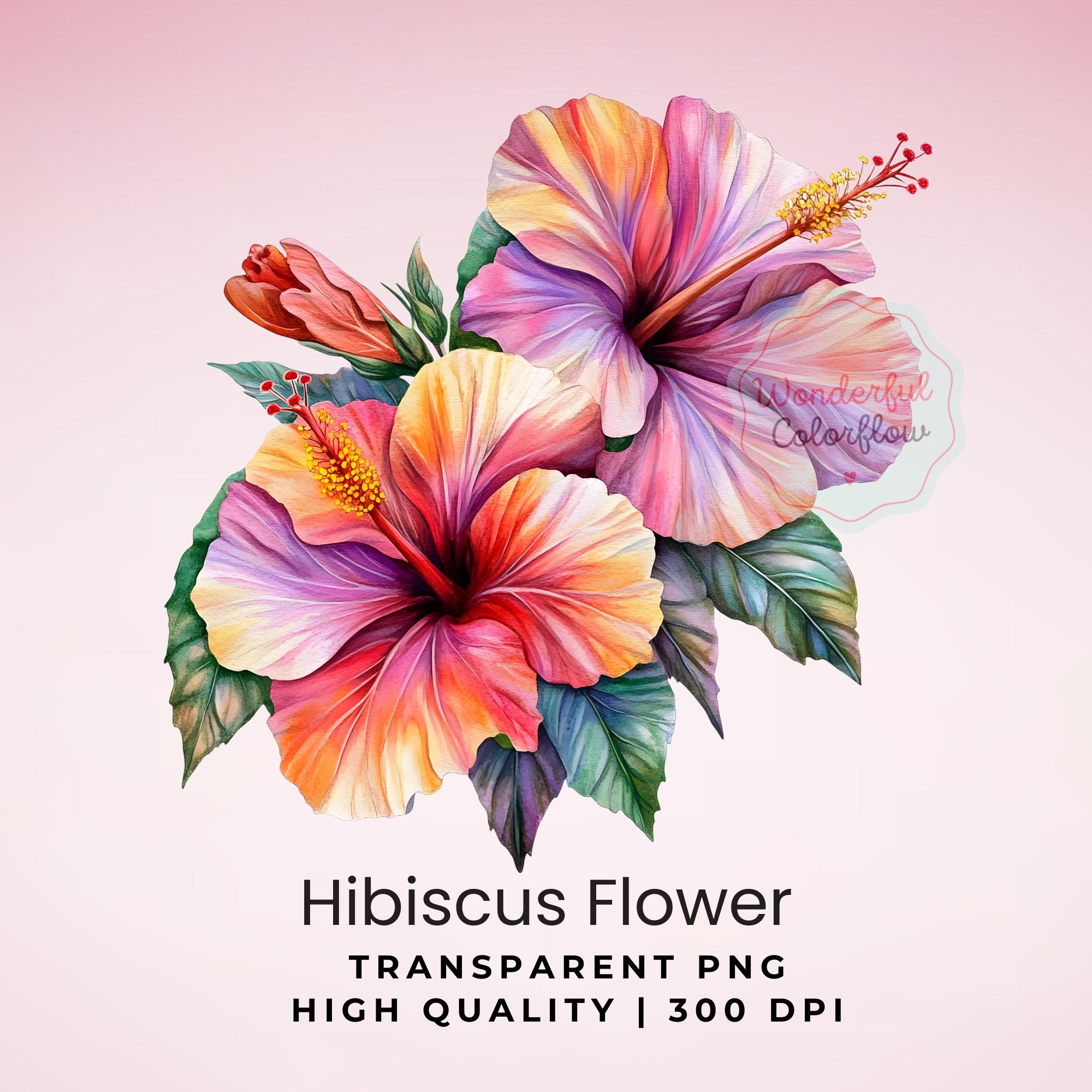 Hibiscus Flower Watercolor Clipart, Perfect for Invitations, Stationery ...
