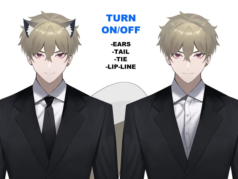 Premade Vtuber Color Customizable 4 Toggle Switches 1 - Etsy Canada