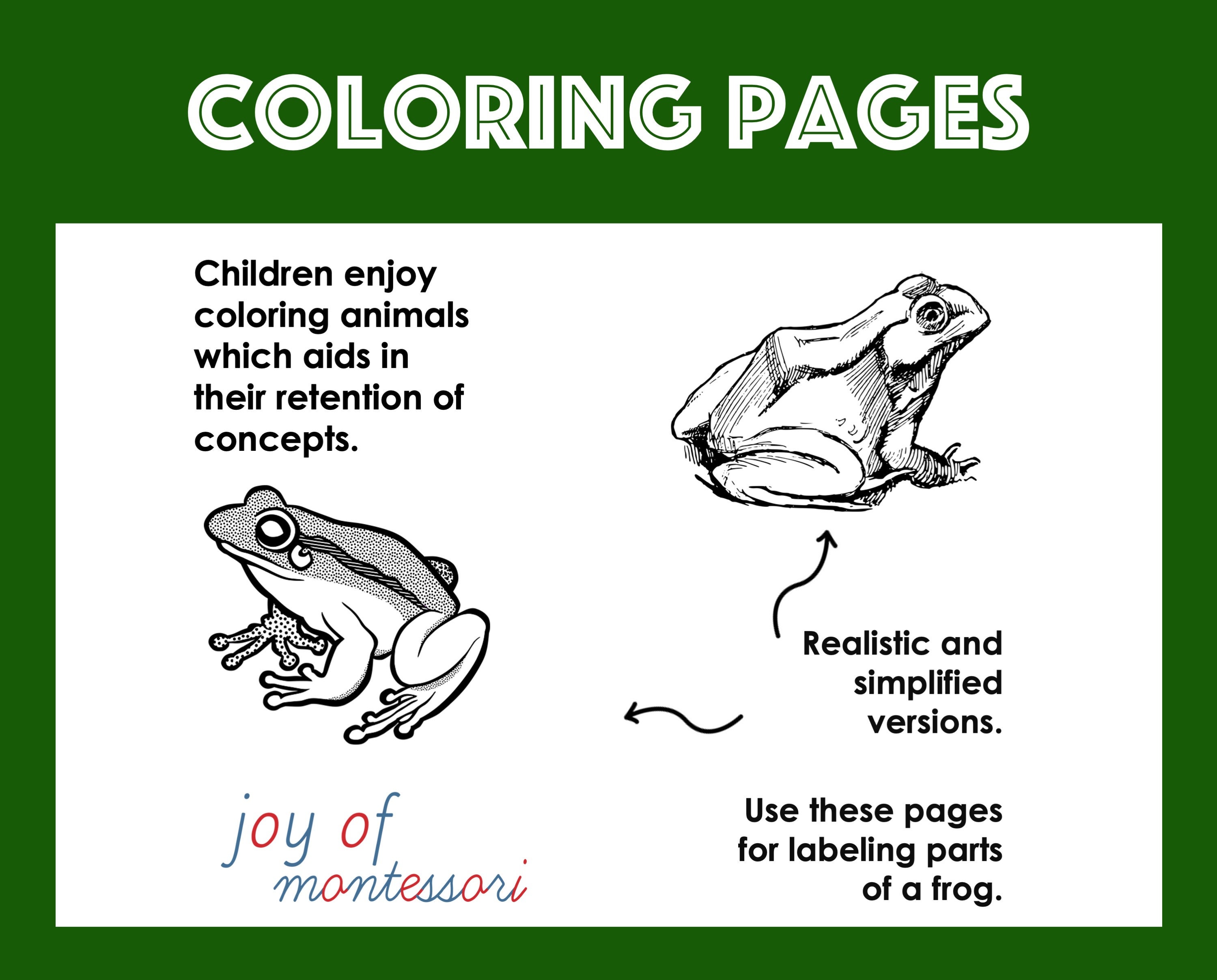 Frog Matching Game - Etsy