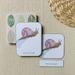 Parts of a Snail Montessori Science Nomenclature Cards - Etsy