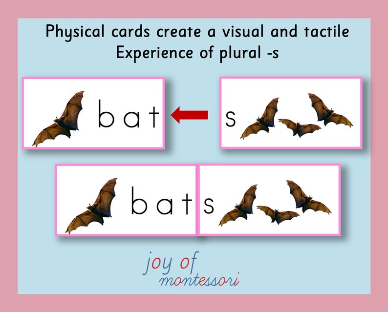 Singular and Plural Nouns - Etsy