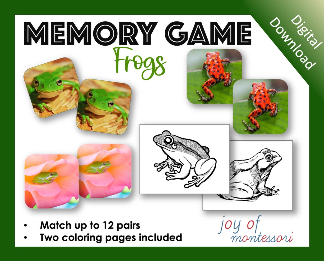 Frog Matching Game - Etsy