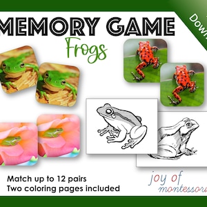 Frog Matching Game - Etsy