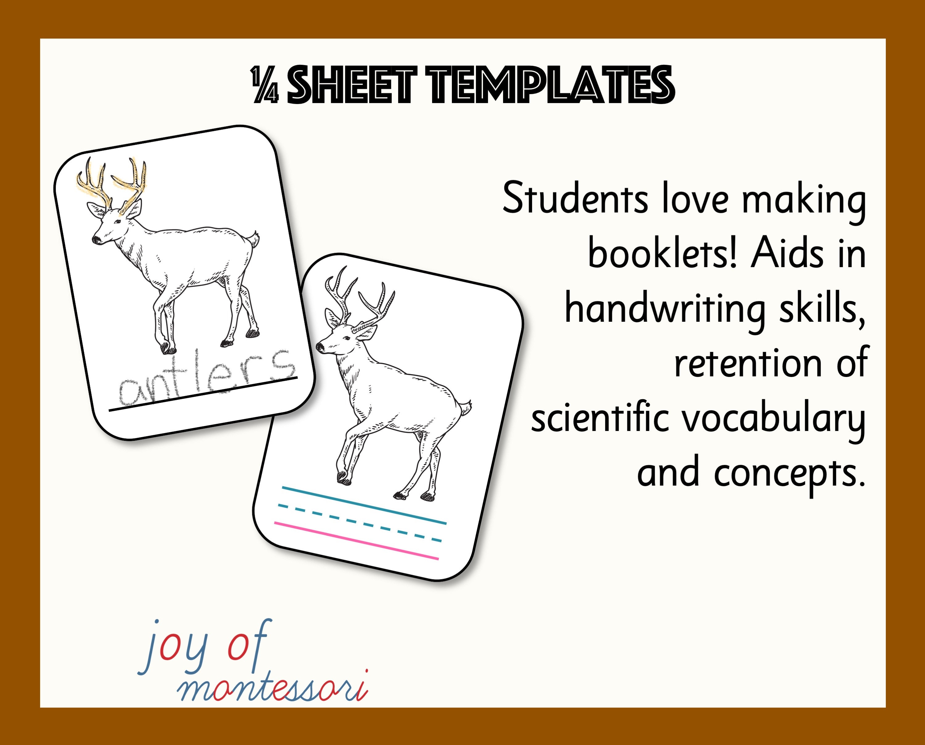 Parts of a Deer Montessori Nomenclature Cards - Etsy