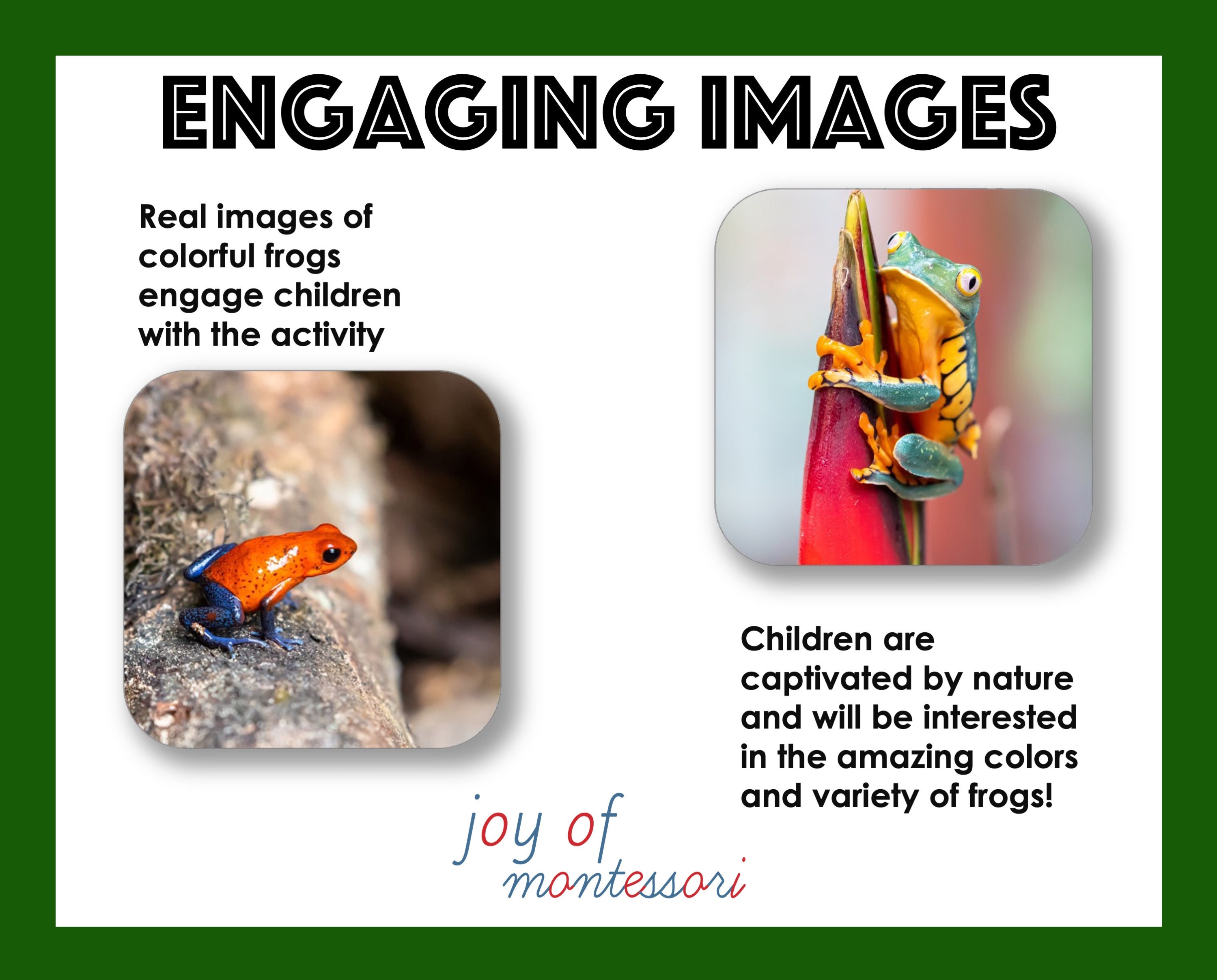 Frog Matching Game - Etsy