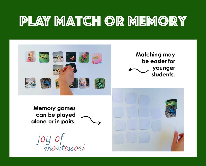 Frog Matching Game - Etsy