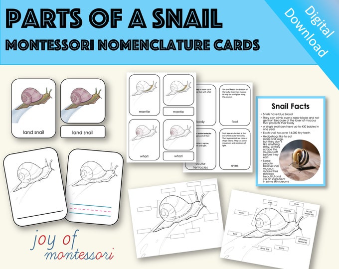 Parts of a Snail Nomenclature Book Montessori Zoology Printable ...