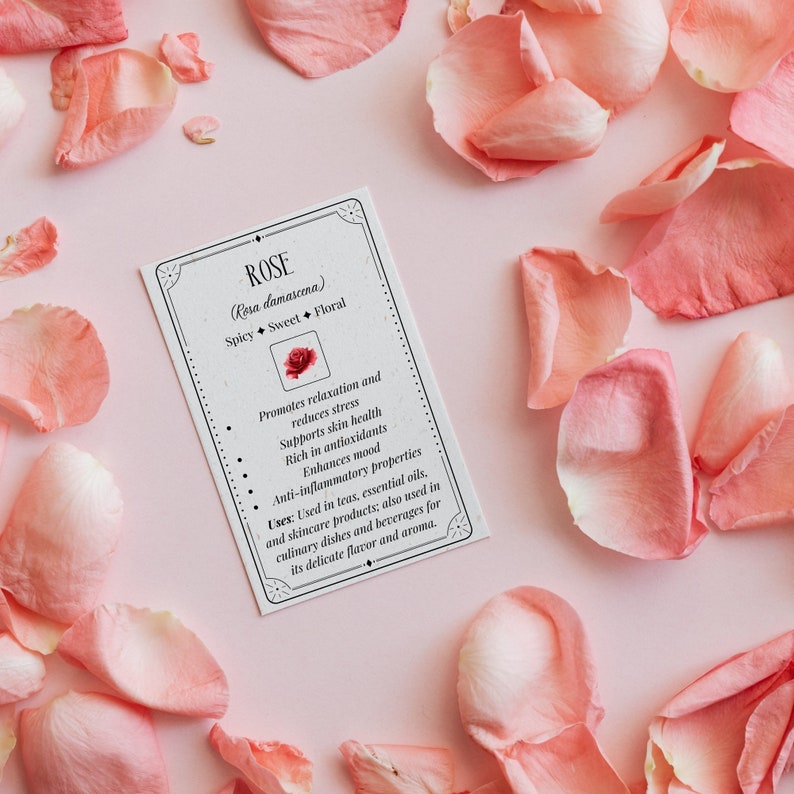 60 Herb Information Cards: Apothecary Medicinal Plant Guide (PDF) - Etsy